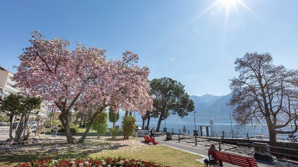 Locarno: what to see and what to do | Ascona-Locarno
