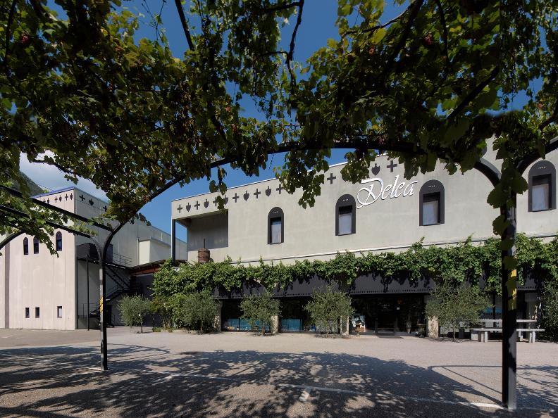 Vini & Distillati Angelo Delea SA | Ascona-Locarno